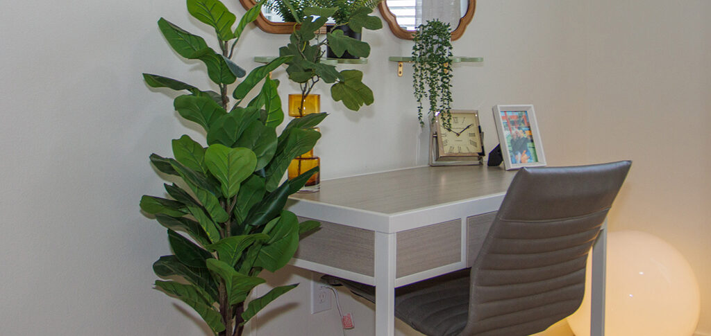 Apartments Near ASU | Apollo Tempe