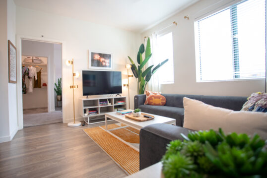 Photo Gallery | Apollo Tempe